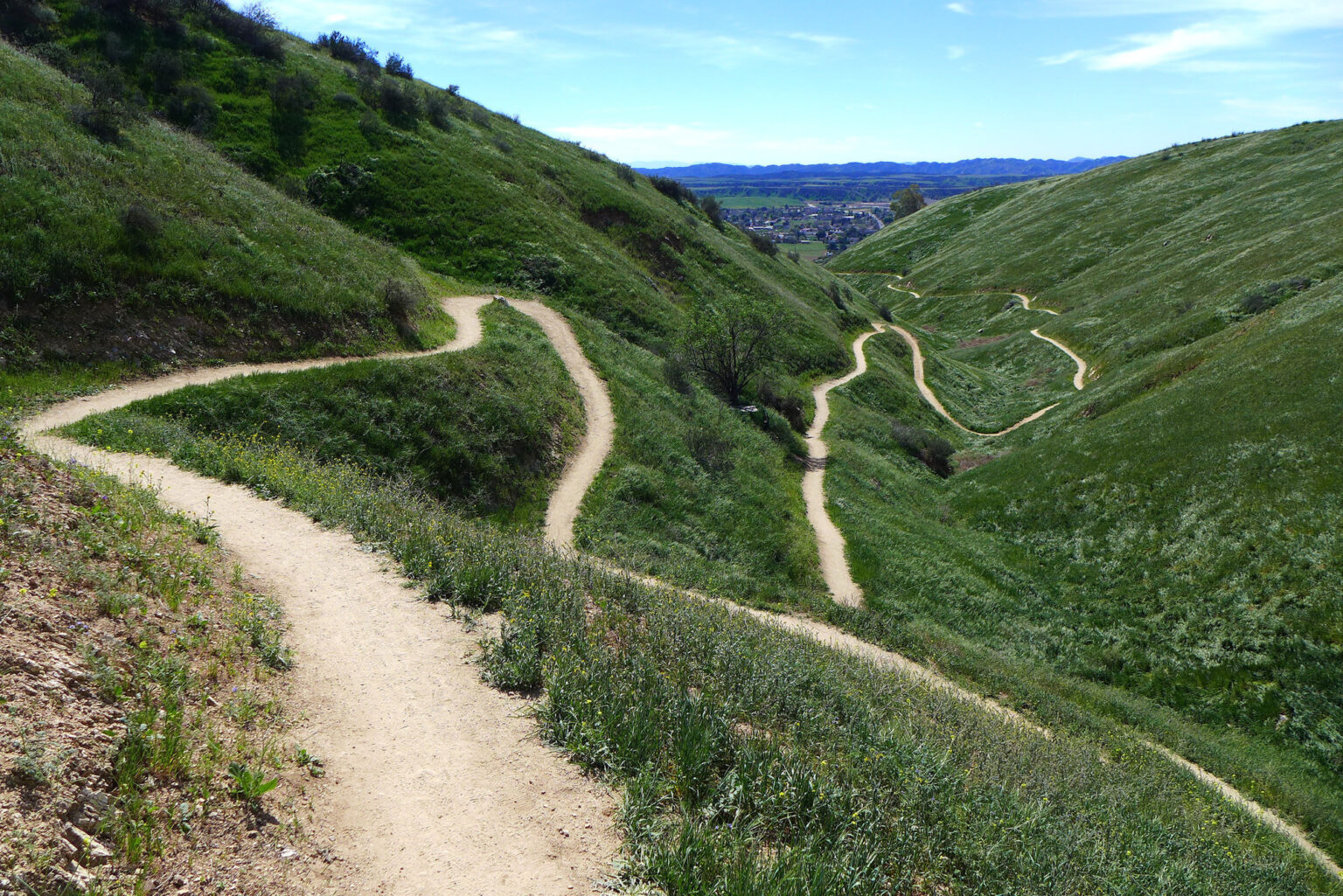 Product Info – Trailism